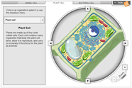 Updates To Cell Structure Gizmo Brings New ExploreLearning Updates To Cell Structure Gizmo Brings New ExploreLearning