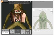 Teaching Dissection With Virtual Labs Gizmos
