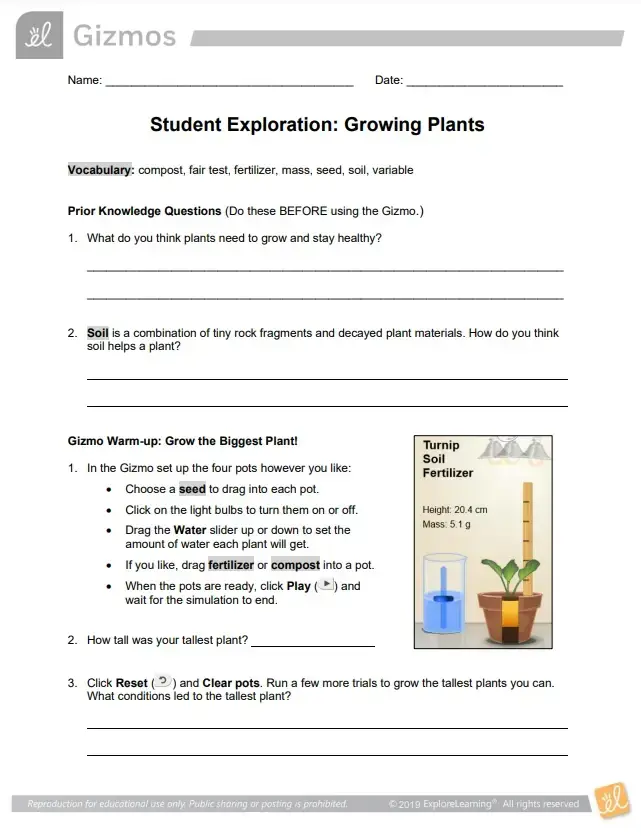 Differentiating Gizmos Student Exploration Sheets Ef... | Gizmos